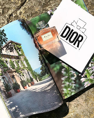 Dior Miss Dior (2017) туалетная вода для женщин — где купить, цены ...